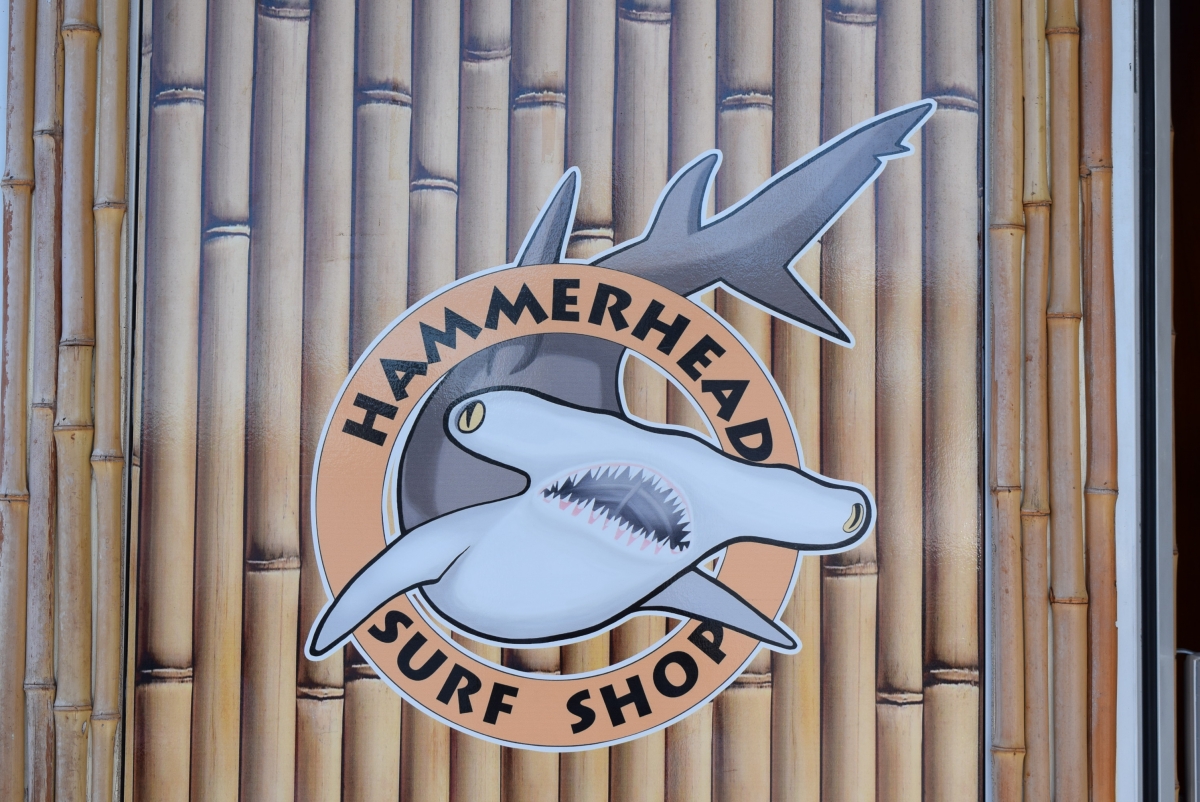 Hammerhead-Logo_0248 – Key West Historic Seaport