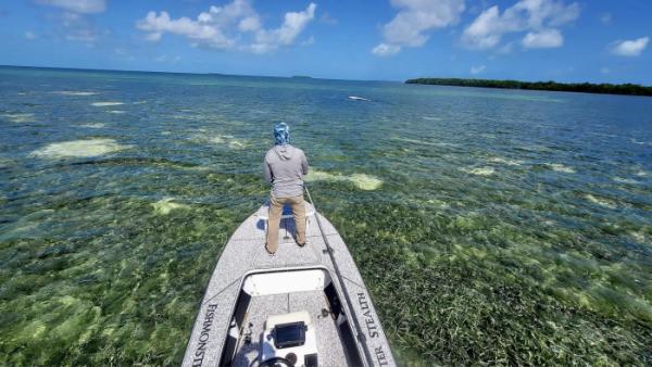 FishMonster Charters Key West | Key West Historic Seaport